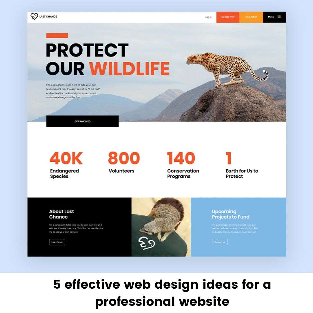 5 effective web design ideas for a professional website-Webzin