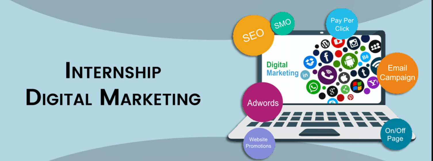 Digital Marketing Intern - Webzin Infotech